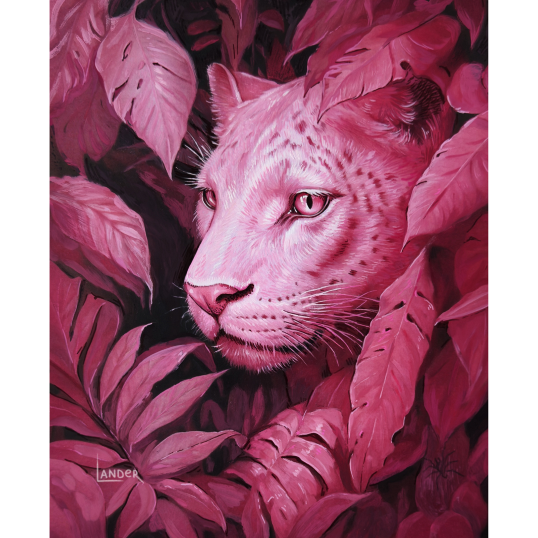 Lander Art Shop – LANDER ART